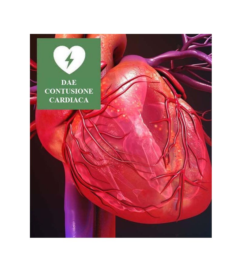 LA CONTUSIONE CARDIACA - Defibrillatori Shop di Dartizio Michele